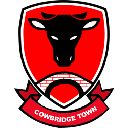 Cowbridge Town AFC Club Shop