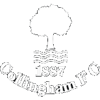 Collingham FC Club Shop